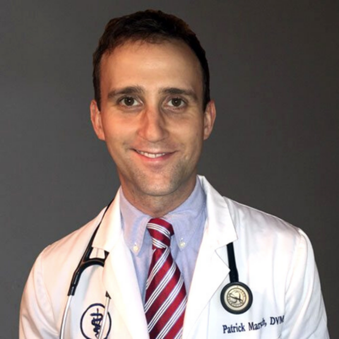 Best Veterinary Hospital In Owensboro, KY | East Side Animal
